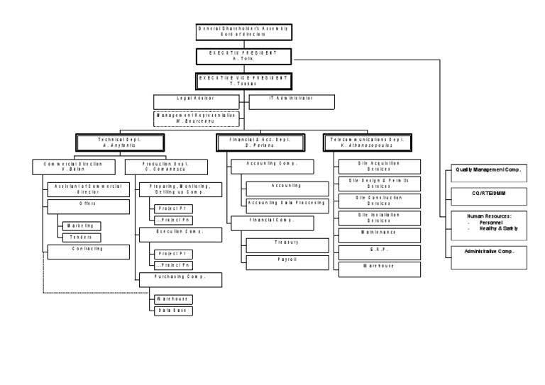 Organizational Chart of a Telecommunications Company Depicting ...