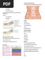 1 and 11.1 ABDOMINAL LAYERS AND CESAREAN SECTION | PDF | Abdomen ...