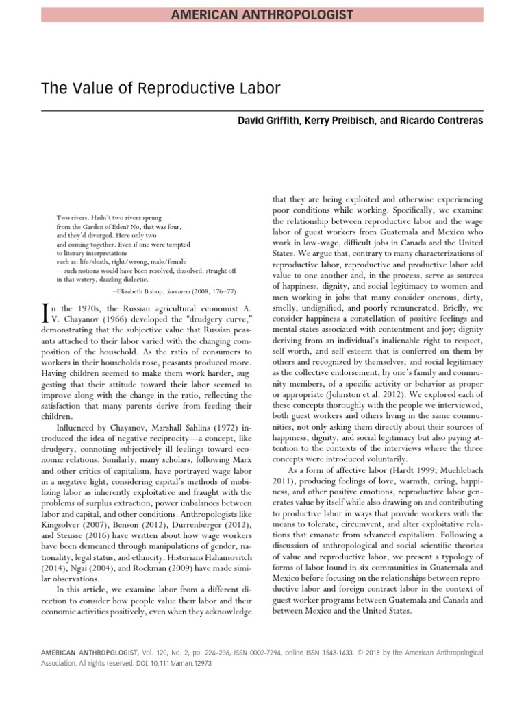 The Value of Reproductive Labor David Griffith Et Al | PDF | Labour ...