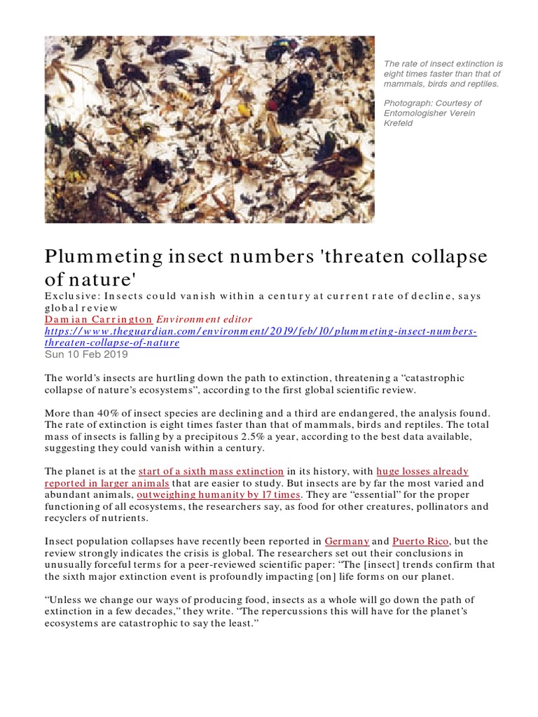 Plummeting Insect Numbers 'Threaten Collapse of Nature' | PDF ...