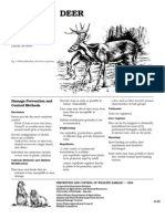 Deer Reproduction: Behavior and Ecology | PDF | Deer | White Tailed Deer