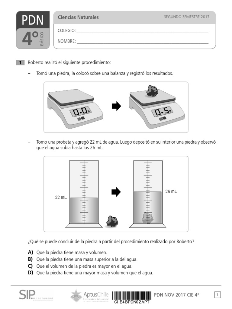 Prueba Noviembre CIE 4 Aptus | PDF | Cerebro | Músculo