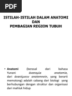 Pembagian Regio Tubuh Manusia | PDF | Kesehatan Holistik | Sains ...
