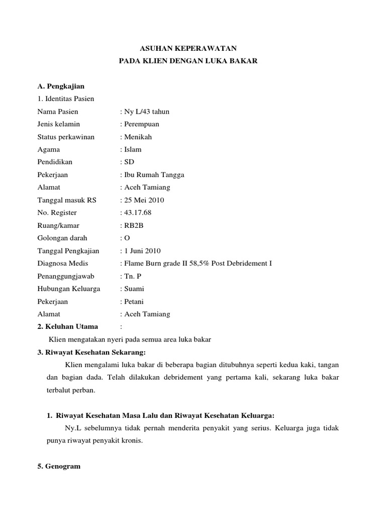 Contoh Format Pengkajian | PDF