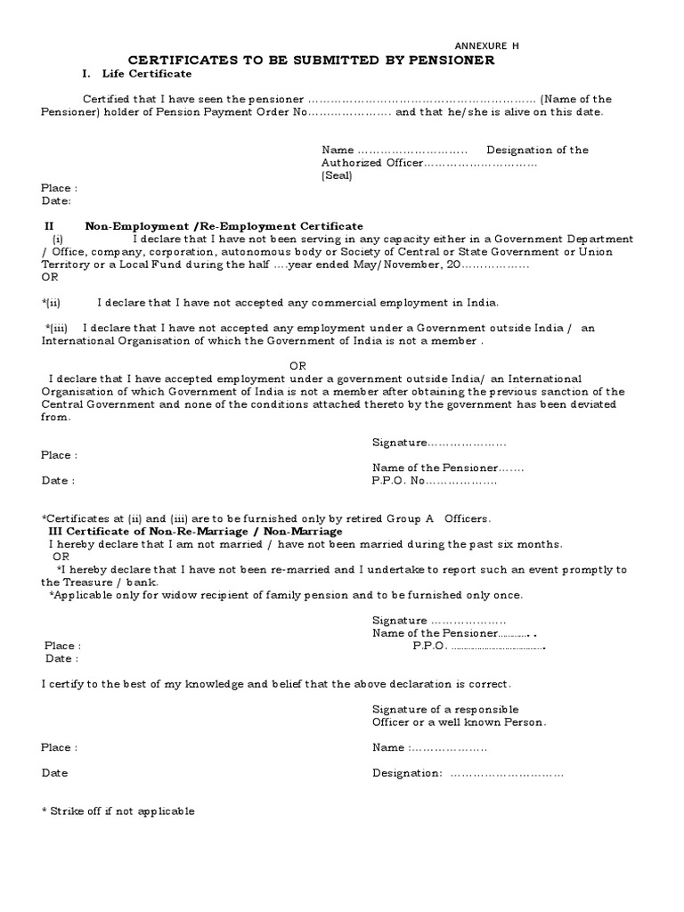 Application Word Format | PDF | Economies | Government