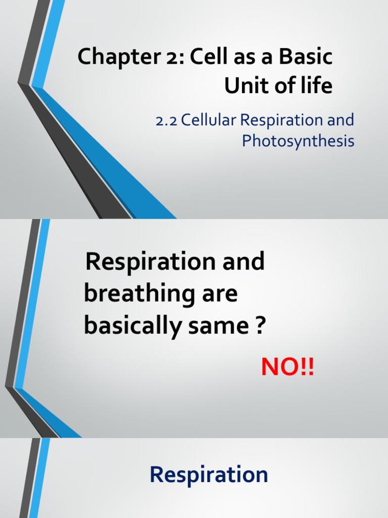 2.2 Photosynthesis and Cellular Respiration | PDF | Photosynthesis ...