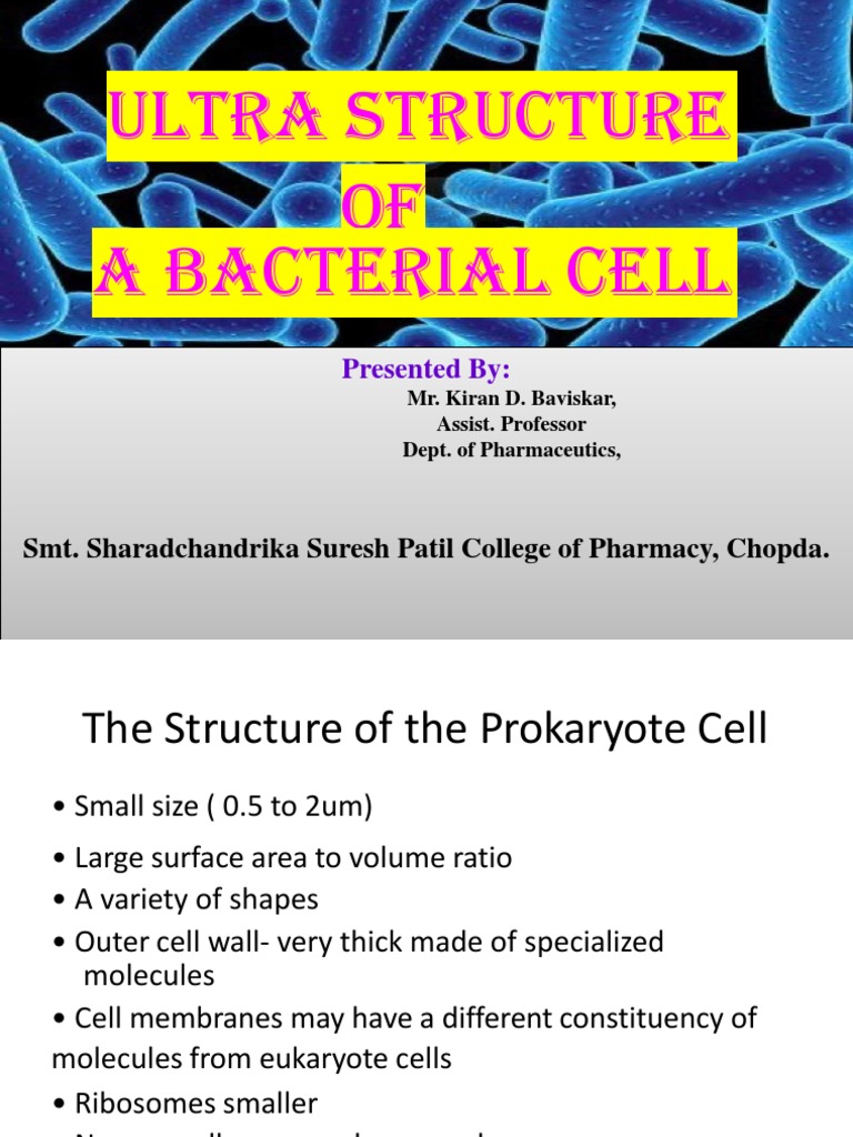Ultrastructure of Bacteria - KDB | PDF | Gram Positive Bacteria | Cell ...