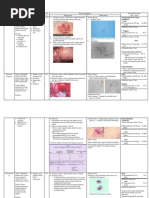 Panduan Praktik Klinis Cervicitis | PDF