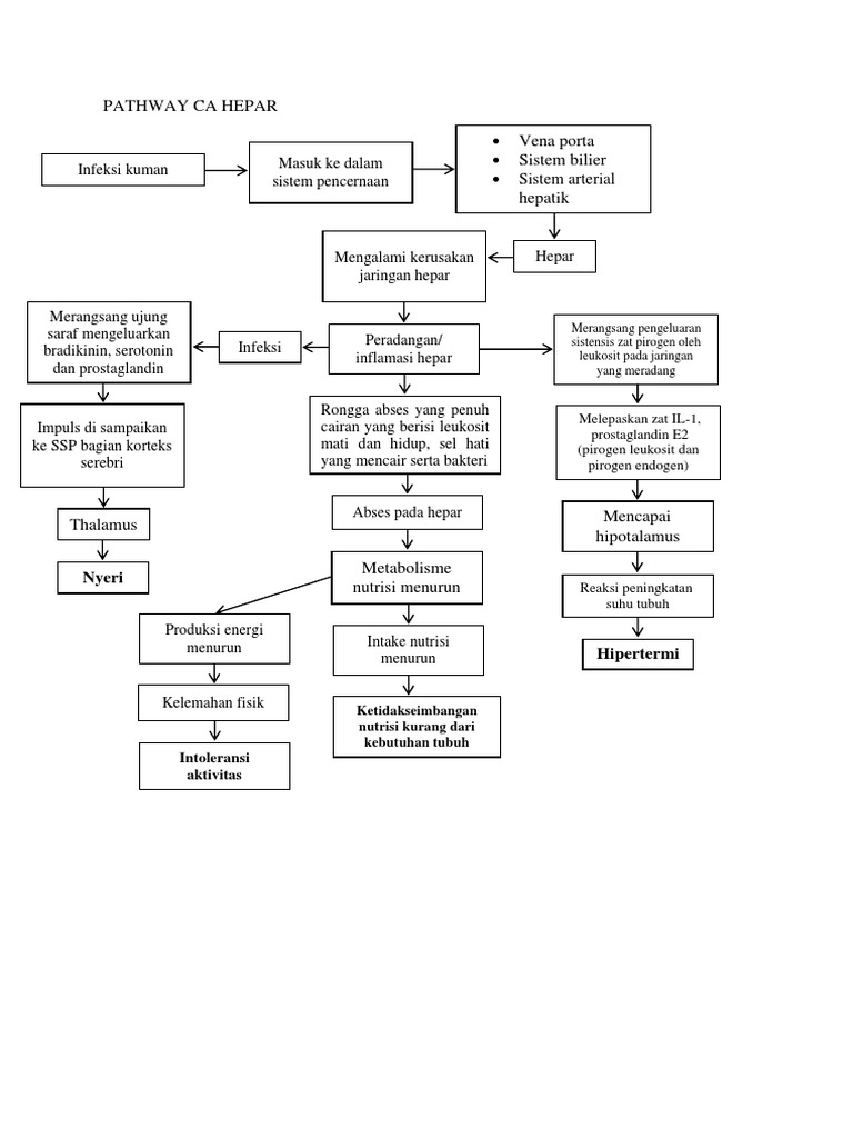 Pathway Ca Hepar | PDF