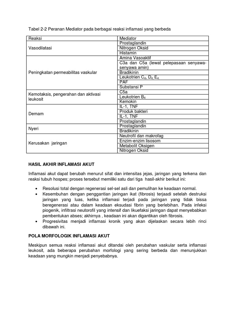 Hasil Akhir Inflamasi Akut | PDF