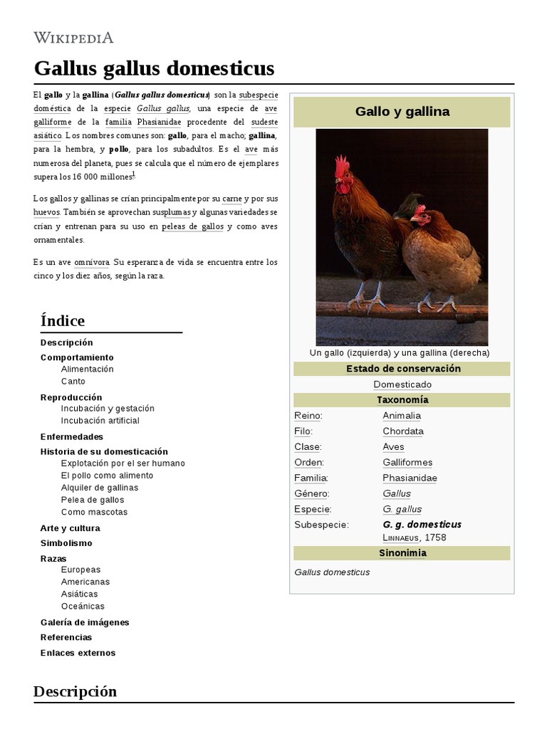 Gallus Gallus Domesticus | PDF | Pollo | Naturaleza