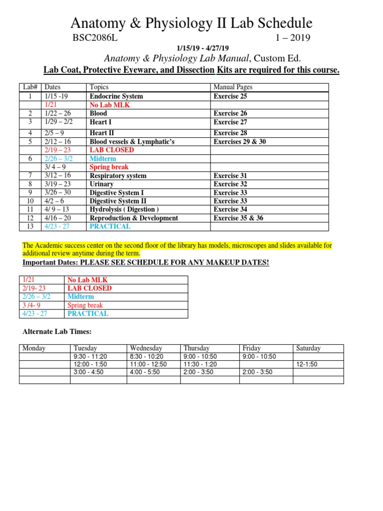 Anatomy & Physiology II Lab Schedule: BSC2086L 1 - 2019 | PDF