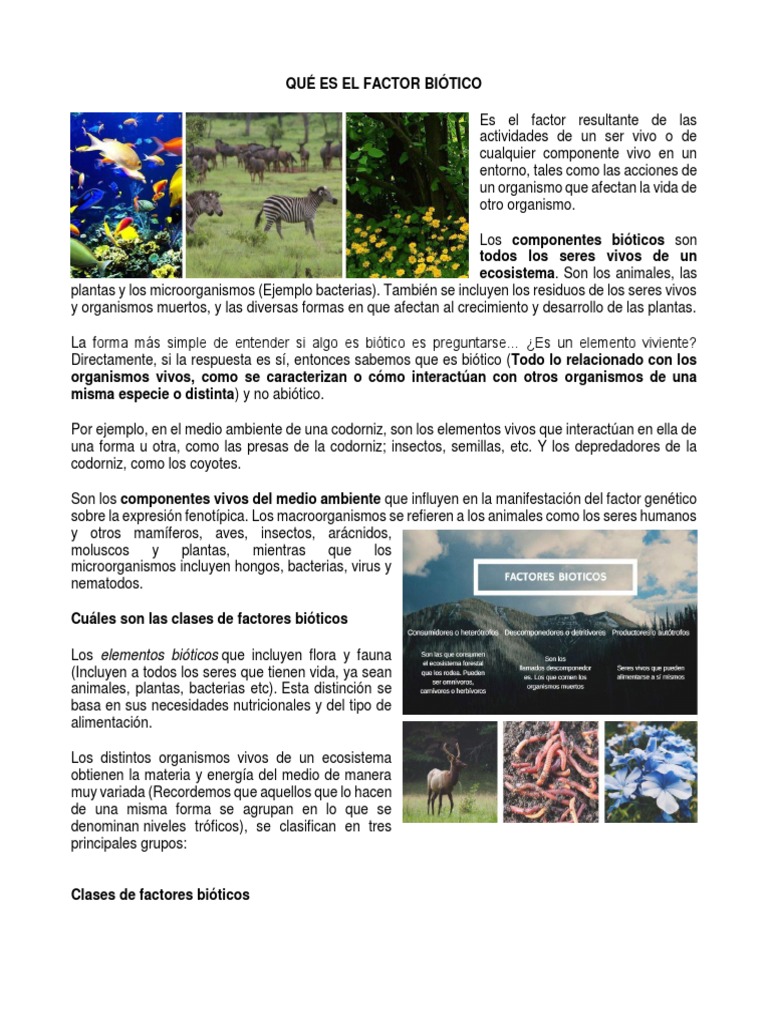 Qué Es El Factor Biótico | PDF | Ecosistema | Organismos