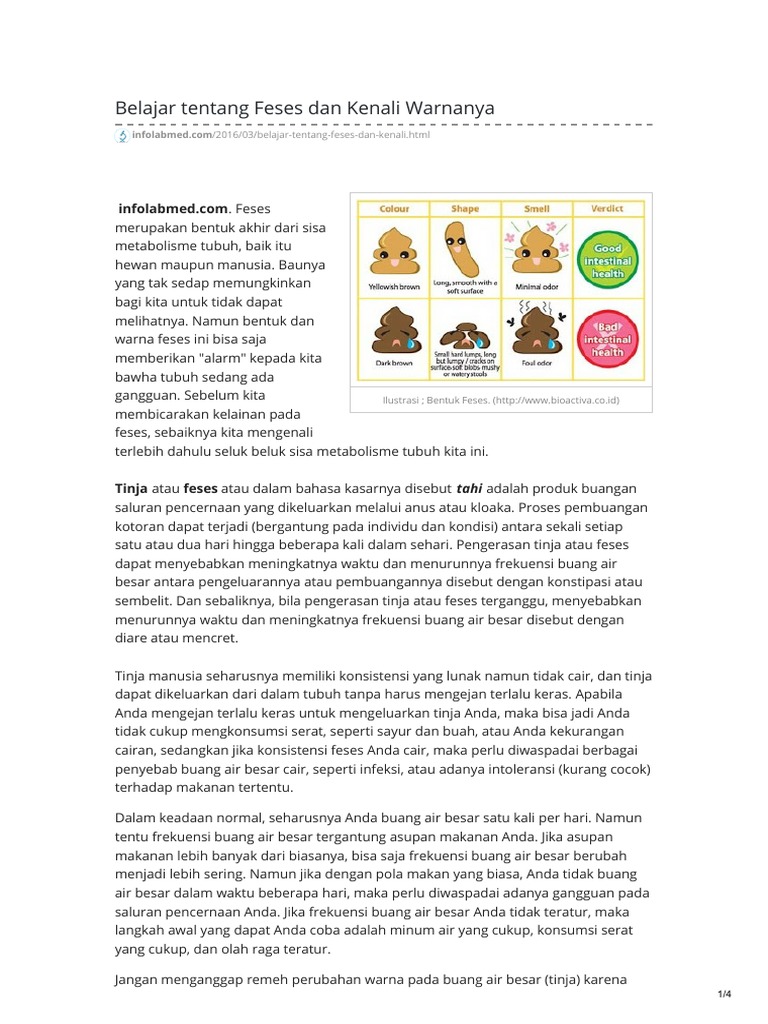 Belajar Tentang Feses Dan Kenali Warnanya | PDF