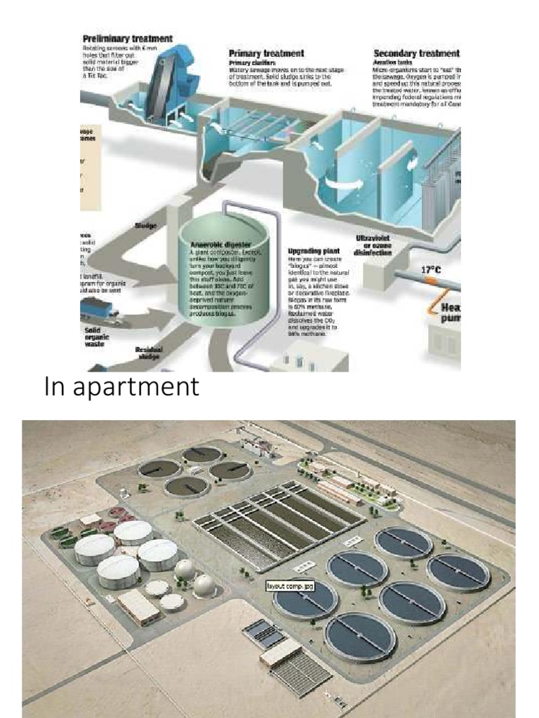 STP - Layout Ideas | PDF | Nature