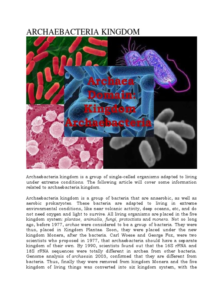 Archaebacteria Kingdom | PDF | Archaea | Bacteria