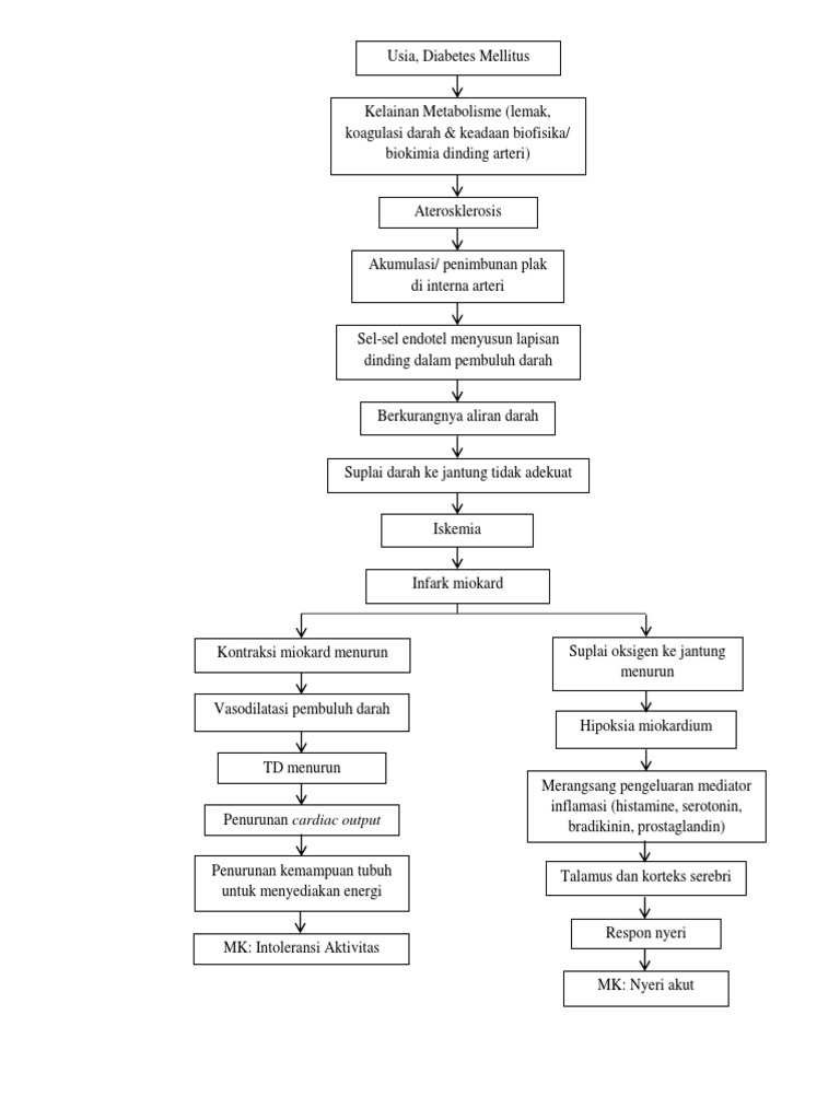 WOC Infark Miokard | PDF
