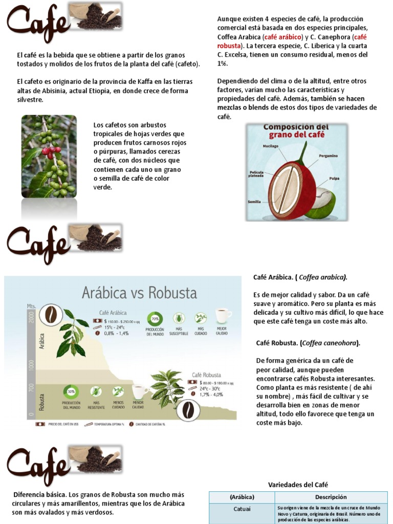 Proyecto Café | PDF | café | Naturaleza