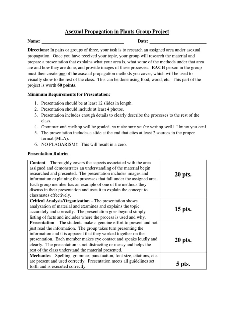 Asexual Propagation in Plants Group Project Rubrics | PDF | Rubric ...