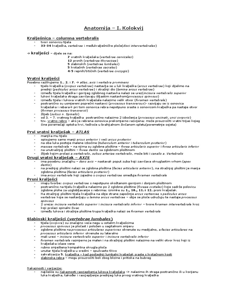 Anatomija - 1. Kolokvij | PDF