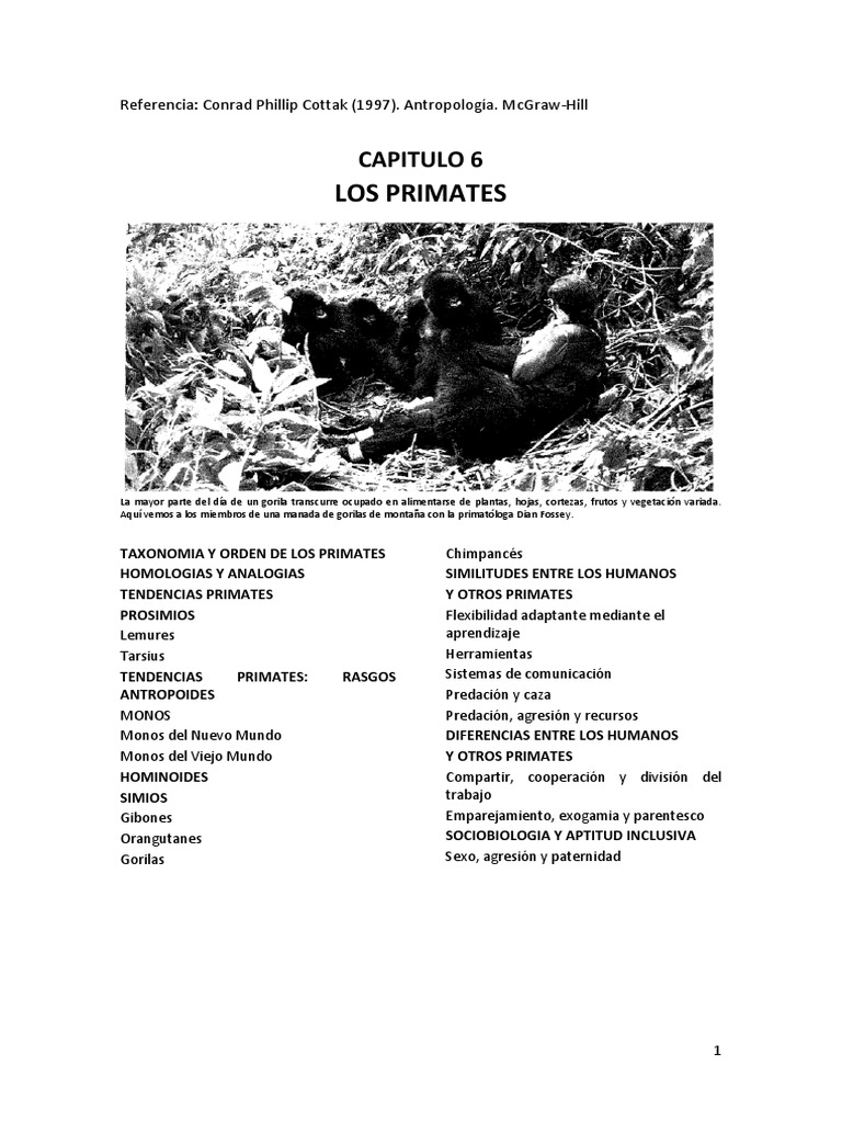 Kottak, Antropologia Cultural | PDF | Chimpancé | Orangután