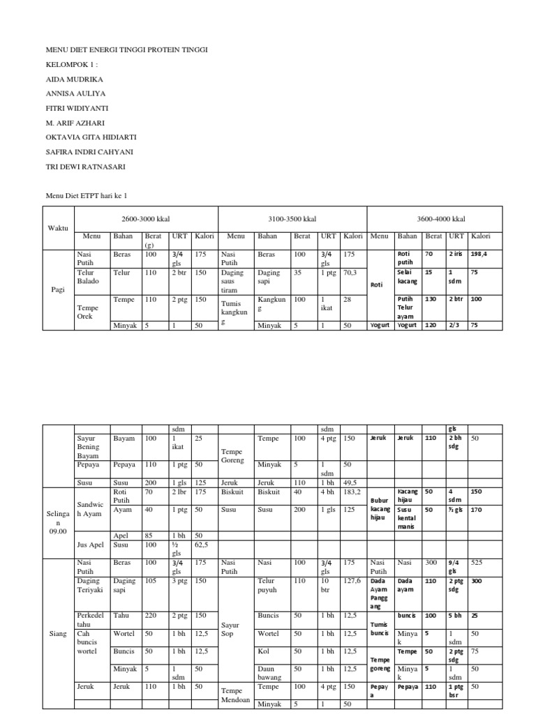 Menu Diet Energi Tinggi Protein Tinggi | PDF