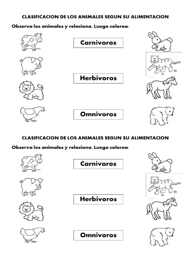 Clasificacion de Animales Segun Su Alimentacion | PDF