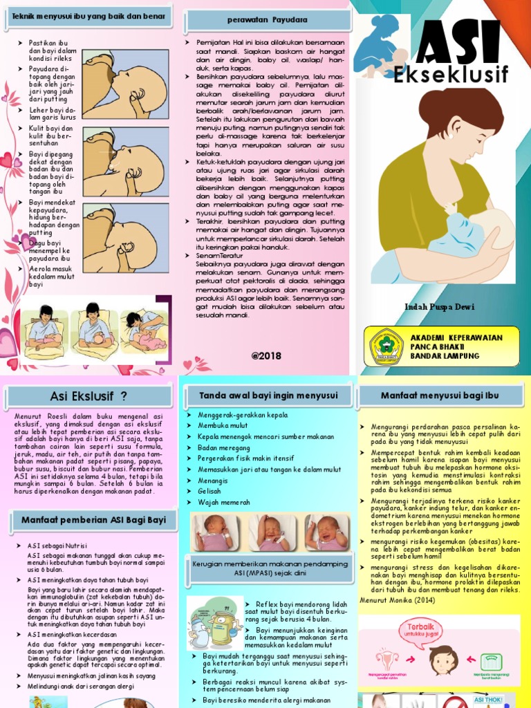 Leaflet Menyusui | PDF