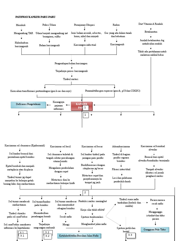 Pathway Kanker Paru-Paru dan Asuhan Keperawatan | PDF