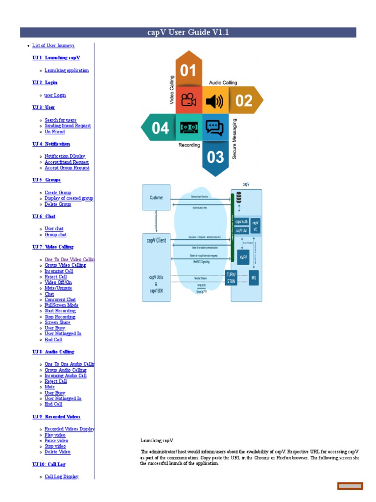 CapV User Guide | PDF | Icon (Computing) | Login