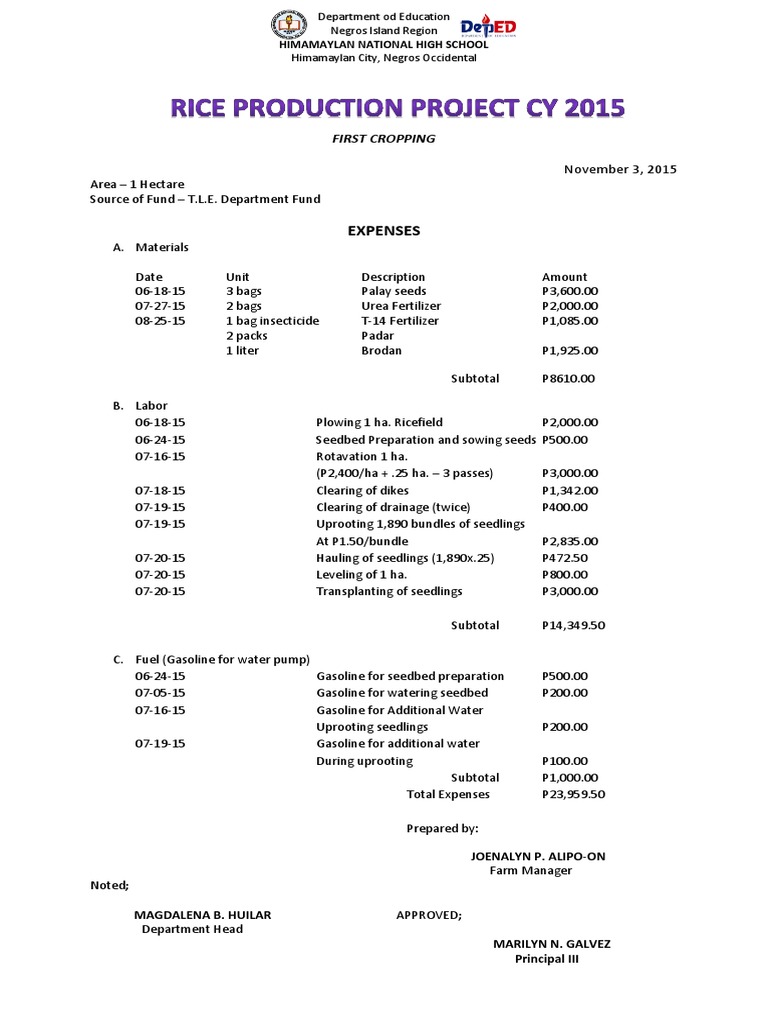 Rice Production Project | PDF | Natural Resource Management | Land ...