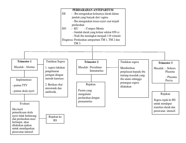Skema Perdarahan Antepartum | PDF