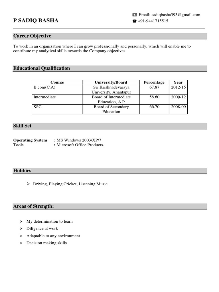 Resume of P. Sadiq Basha | PDF