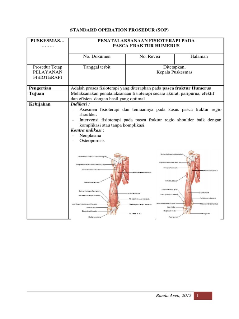 SOP Fisioterapi Musculoskeletal Puskesmas Aceh | PDF