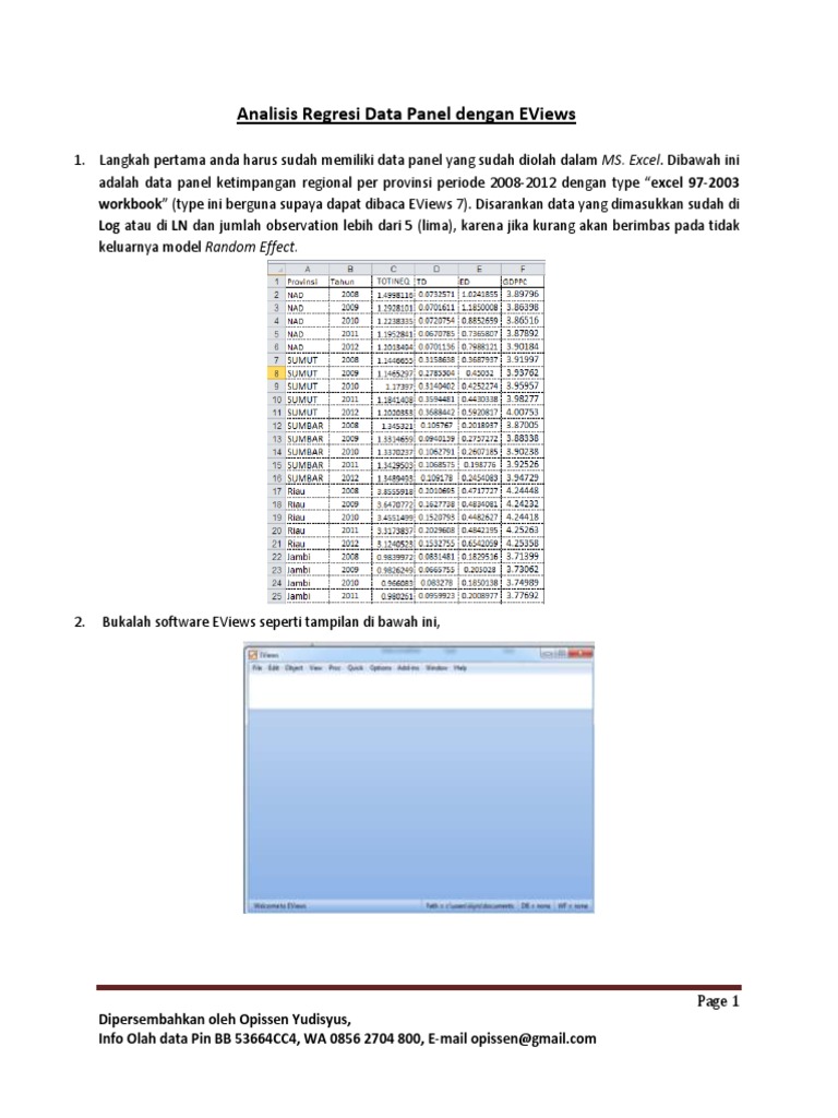 Analisis Regresi Data Panel Dengan Eviews | PDF