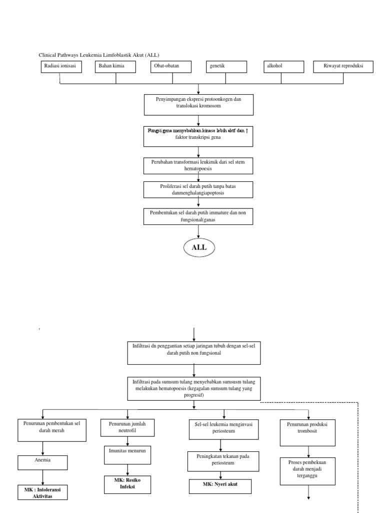 Clinical Pathways Leukemia Limfoblastik Akut | PDF