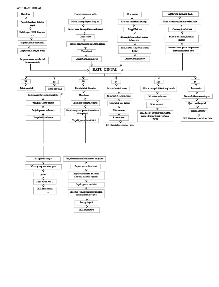 Woc Batu Ginjal | PDF
