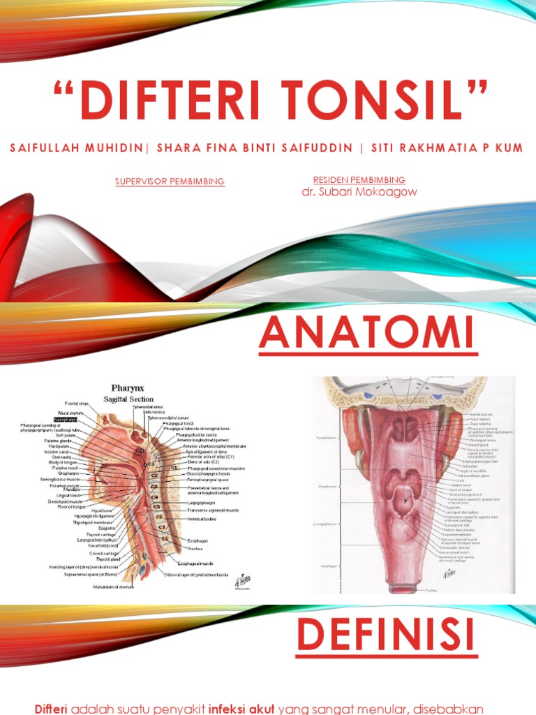 Difteri Tonsil | PDF