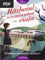 Model Scutire de Mana | PDF