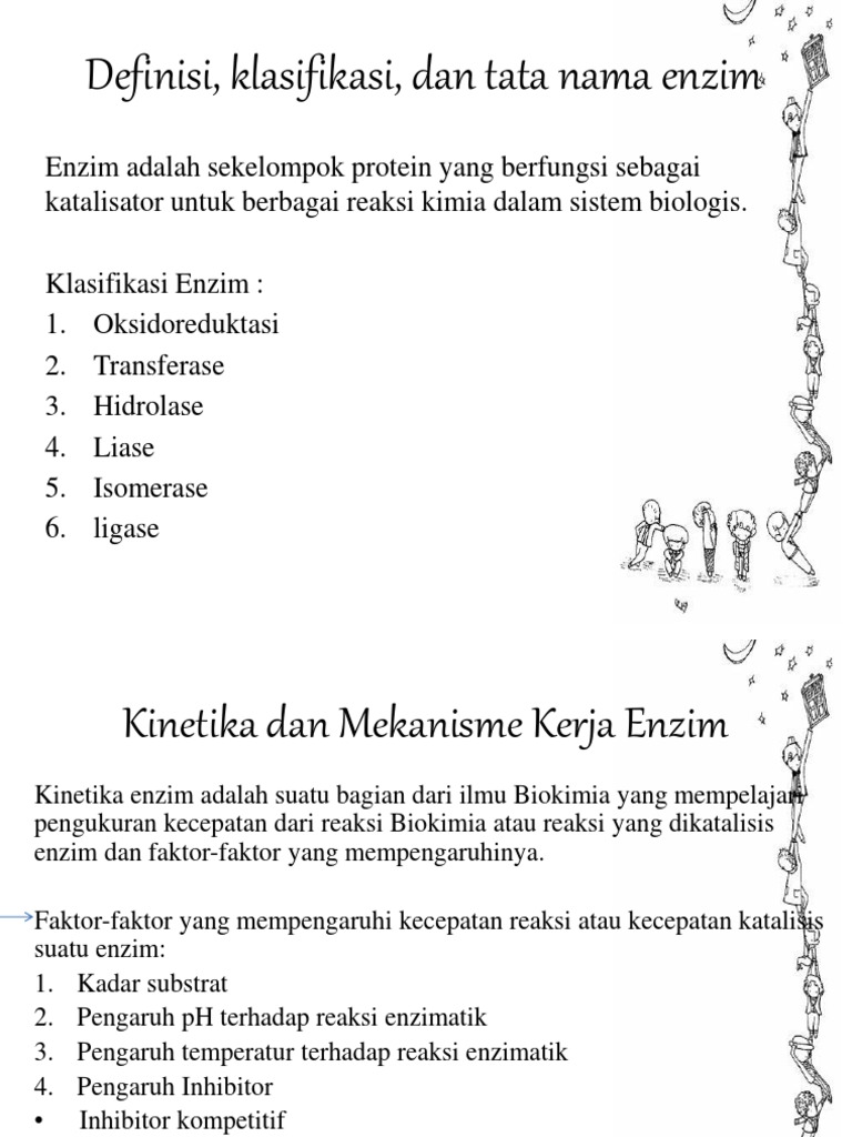 Definisi, Klasifikasi, Dan Tata Nama Enzim | PDF