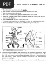 Gundhi Bug Zoo | PDF | Rice | Insects
