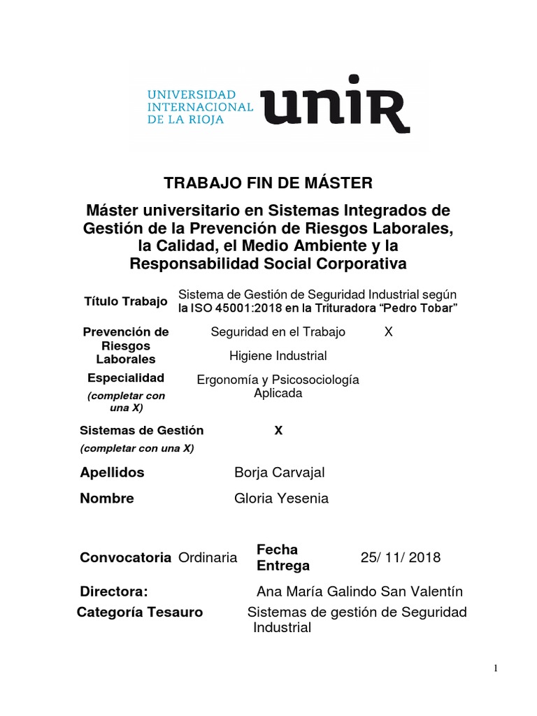 Portada TFM Sig-1 | PDF | Seguridad y salud ocupacional | Naturaleza