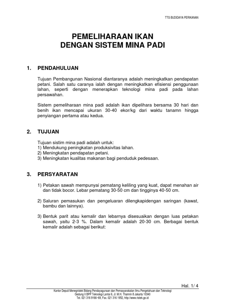 Pelihara Ikan Mina Padi | PDF