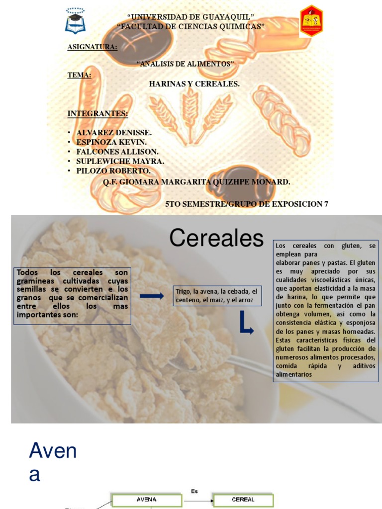 Alimentos Grupo 7 | PDF | Panes | Cereales