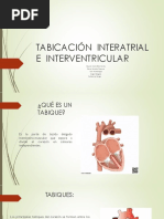 Las Uniones GAP | PDF | Músculo | Contracción muscular