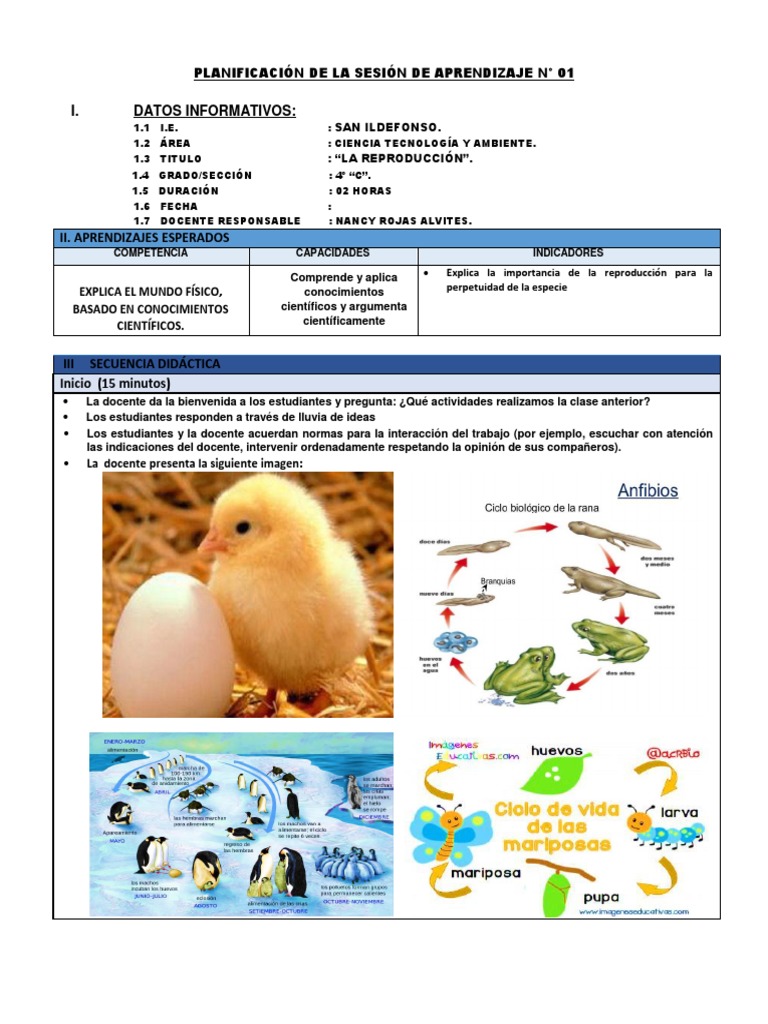 Clase 01 | PDF | Reproducción | Organismos