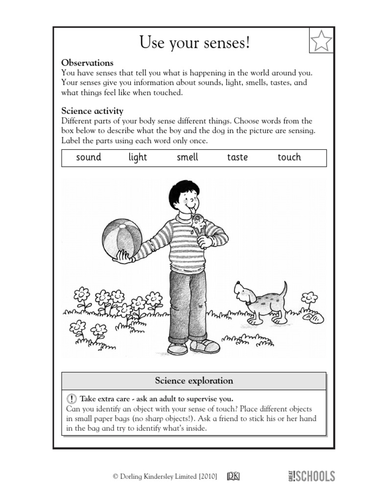 Use Your Senses!: Sound Light Smell Taste Touch | PDF | Senses ...