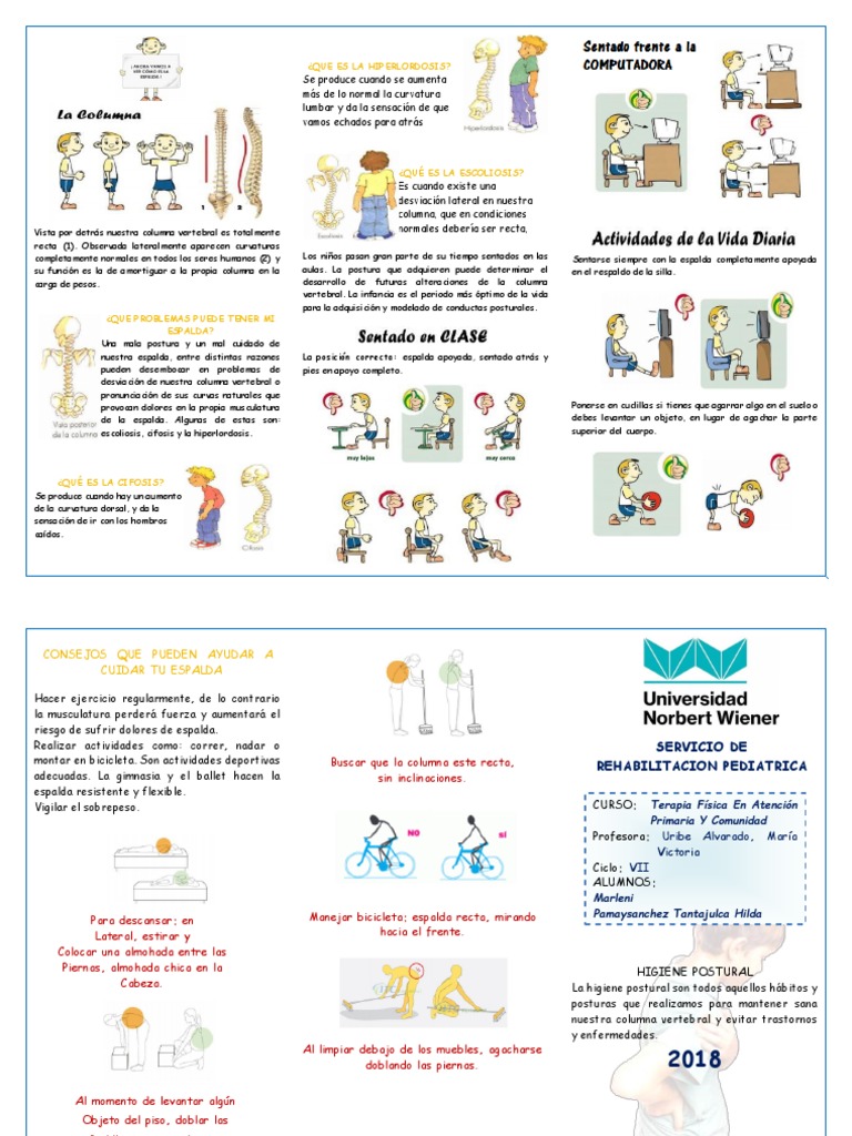 Triptico - Higiene Postural. | PDF | Dolor lumbar | La columna vertebral
