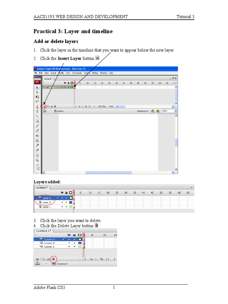 Flash CS3 Practical 3 | PDF | Adobe Flash | Icon (Computing)