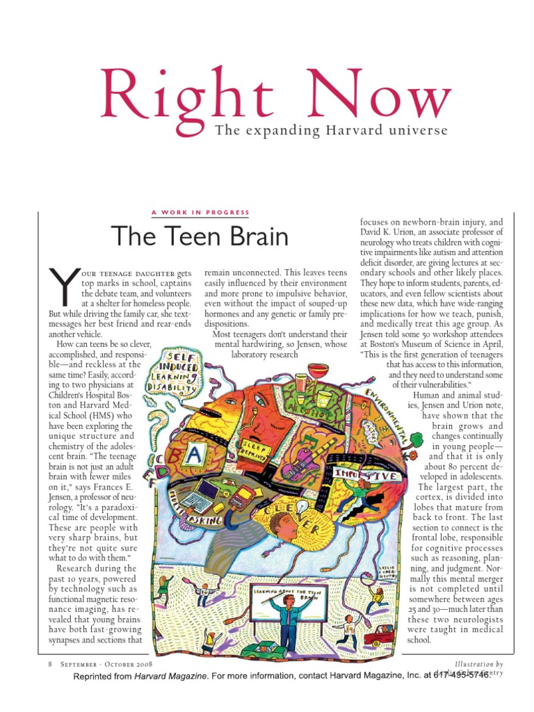 The Teen Brain | PDF | Brain | Adolescence
